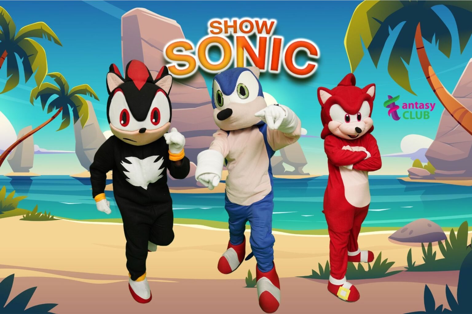 Show de Sonic - Fiestas Infantiles